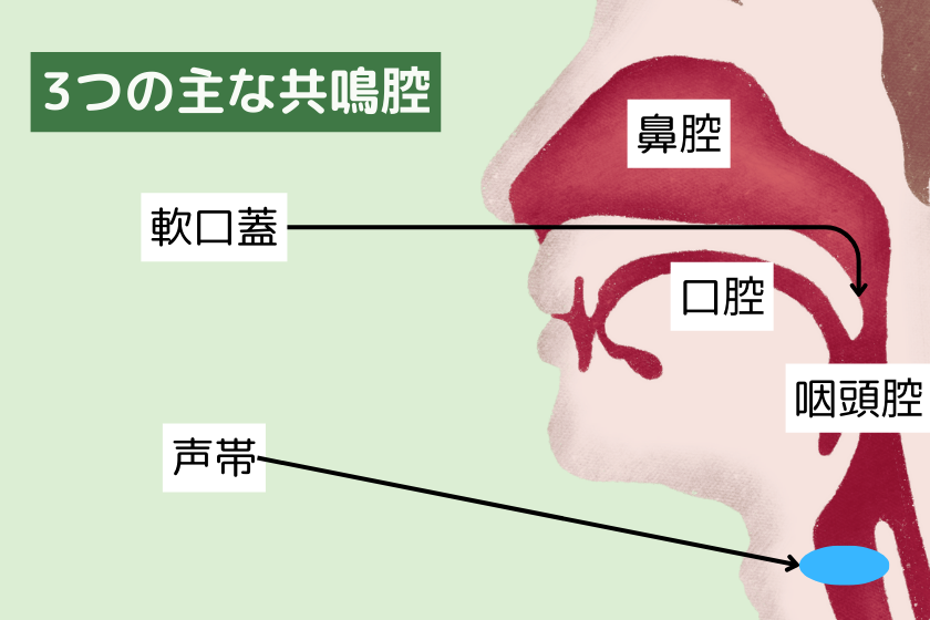 ミュージカル レッスン ｜ 東京のボイトレならWACCA MUSIC SCHOOL